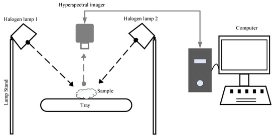A Rapid Non-Destructive Hyperspectral Imaging Data Model for the ...