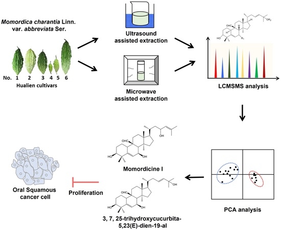 Foods | Free Full-Text | Microwave- and Ultrasound-Assisted Extraction ...