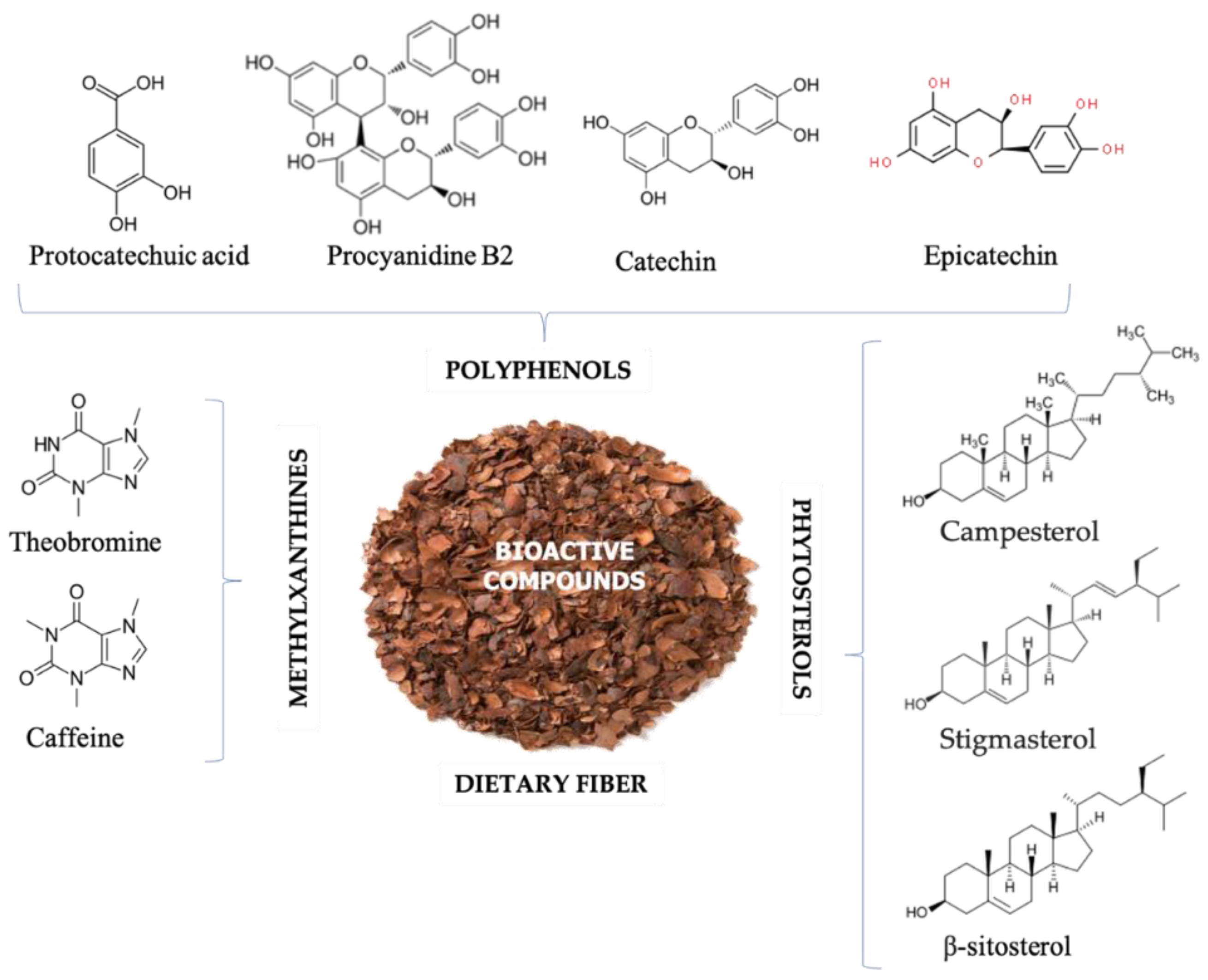 Bioactive Compounds from Cocoa Husk: Extraction, Analysis and Applications in Food Production Chain