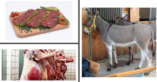 Foods | Free Full-Text | Effects of Ageing on Donkey Meat Chemical ...