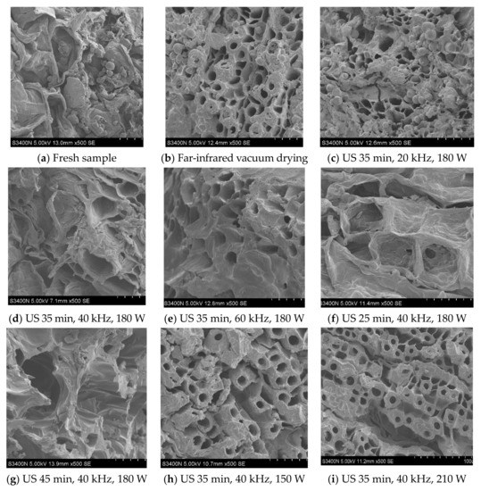 Effect of an Ultrasound Pre-Treatment on the Characteristics and Quality of Far-Infrared Vacuum ...