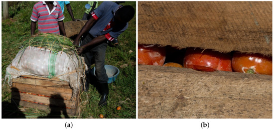 On the Potential of Packaging for Reducing Fruit and Vegetable Losses ...