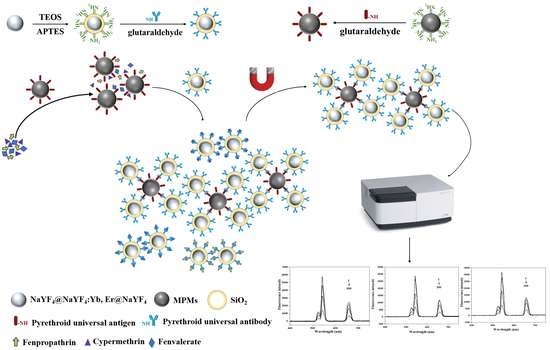 Foods | Free Full-Text | Detection of Pyrethroids in Food by ...