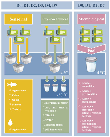 Safety and Quality of Canned Sardines after Opening: A Shelf-Stability ...