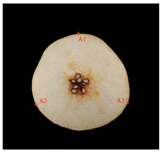 Nondestructive Testing of Pear Based on Fourier Near-Infrared Spectroscopy