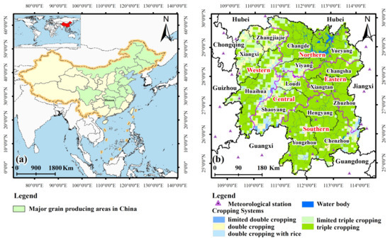 Dynamics and Determinants of the Grain Yield Gap in Major Grain ...