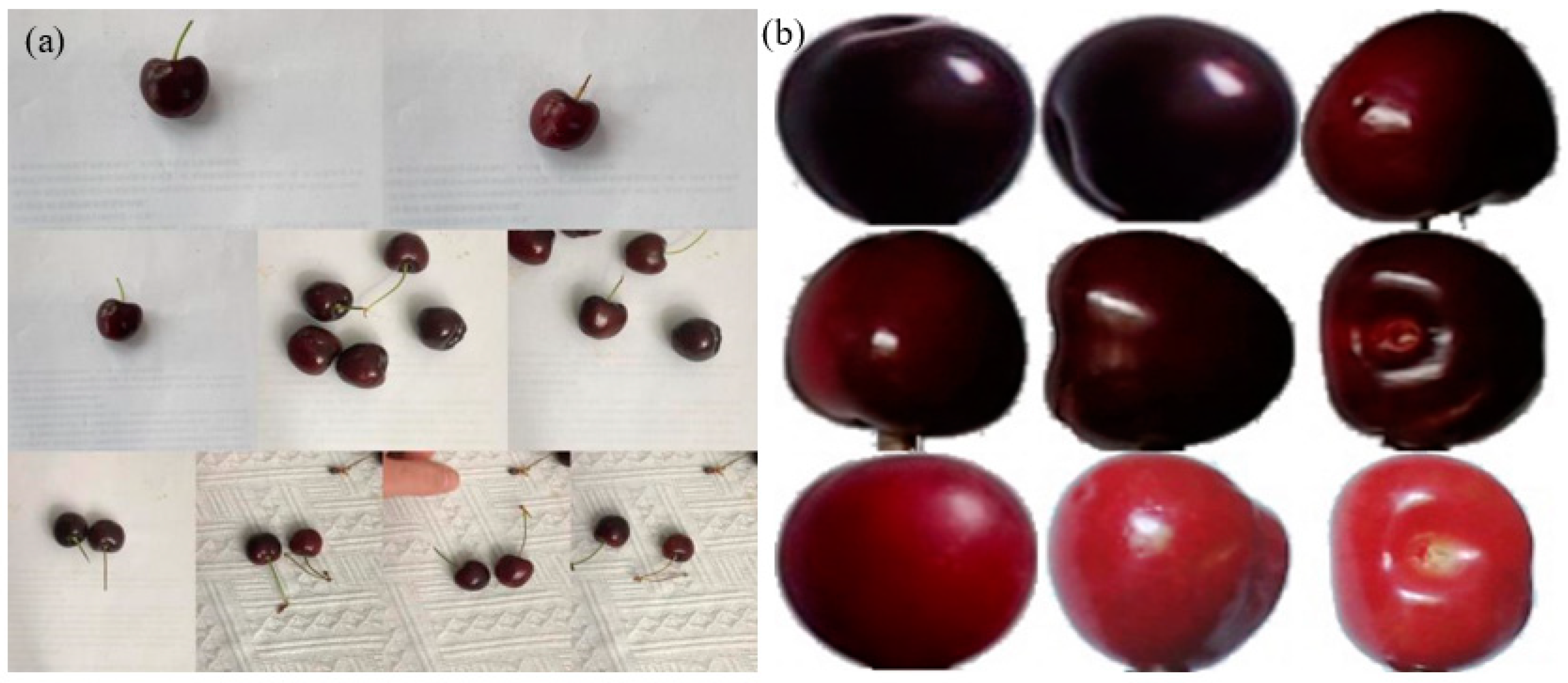 Detection of Cherry Quality Using YOLOV5 Model Based on Flood Filling Algorithm