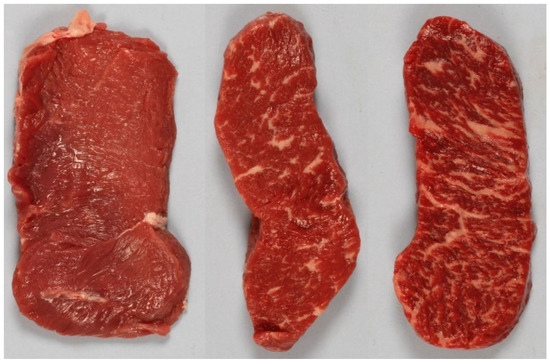 In-Line Estimation of Fat Marbling in Whole Beef Striploins ...