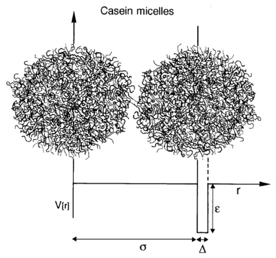 Rennet-Induced Casein Micelle Aggregation Models: A Review