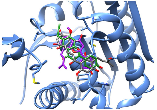 Inverse Molecular Docking Elucidating the Anticarcinogenic Potential of ...