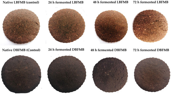 Nutritional Quality, Antioxidant, Microstructural and Sensory ...