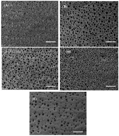 Dual Cross-Linked Starch–Borax Double Network Hydrogels with Tough and ...
