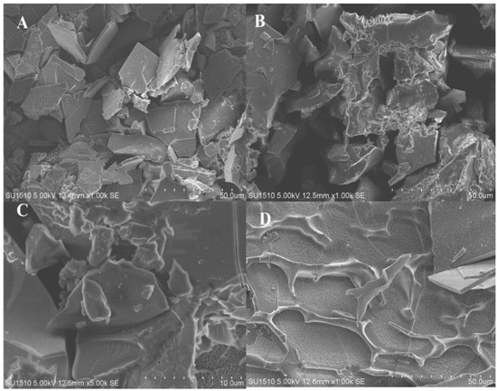 Effect of the Degree of Hydrolysis on Nutritional, Functional, and ...