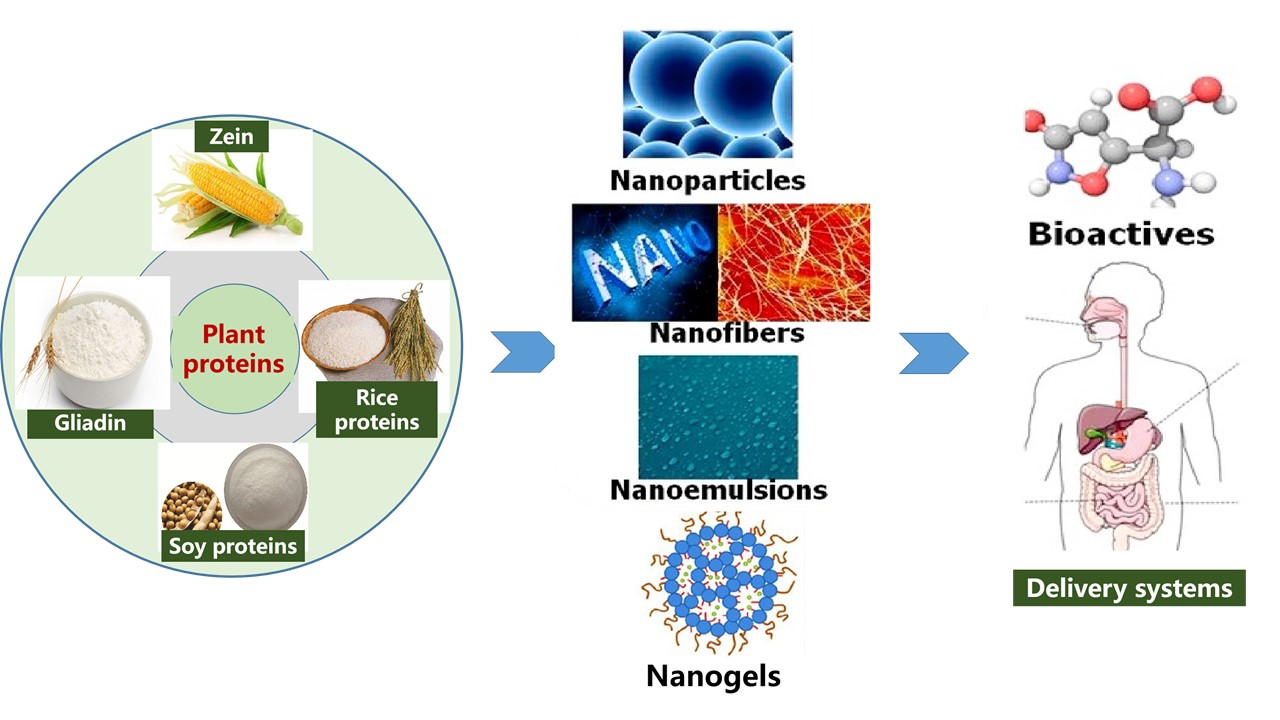 Foods | Free Full-Text | Preparation, Characteristics, and Advantages ...