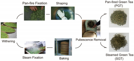 Effect of Fixation Methods on Biochemical Characteristics of Green Teas ...