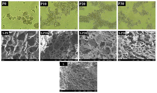 Effect of Homogenization Modified Rice Protein on the Pasting ...
