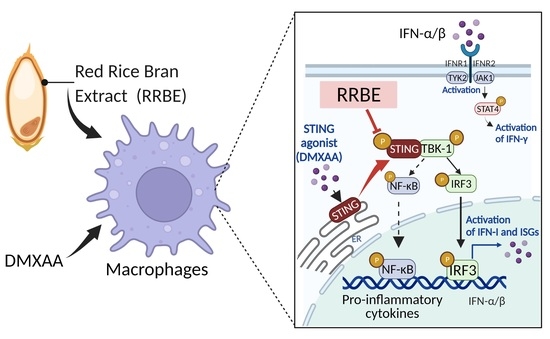 Foods | Free Full-Text | Anti-Inflammatory Effects of Red Rice Bran ...