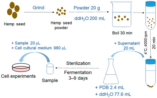 Hemp Seed Fermented by Aspergillus oryzae Attenuates Lipopolysaccharide ...