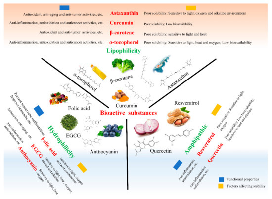 New Perspective on Natural Plant Protein-Based Nanocarriers for ...