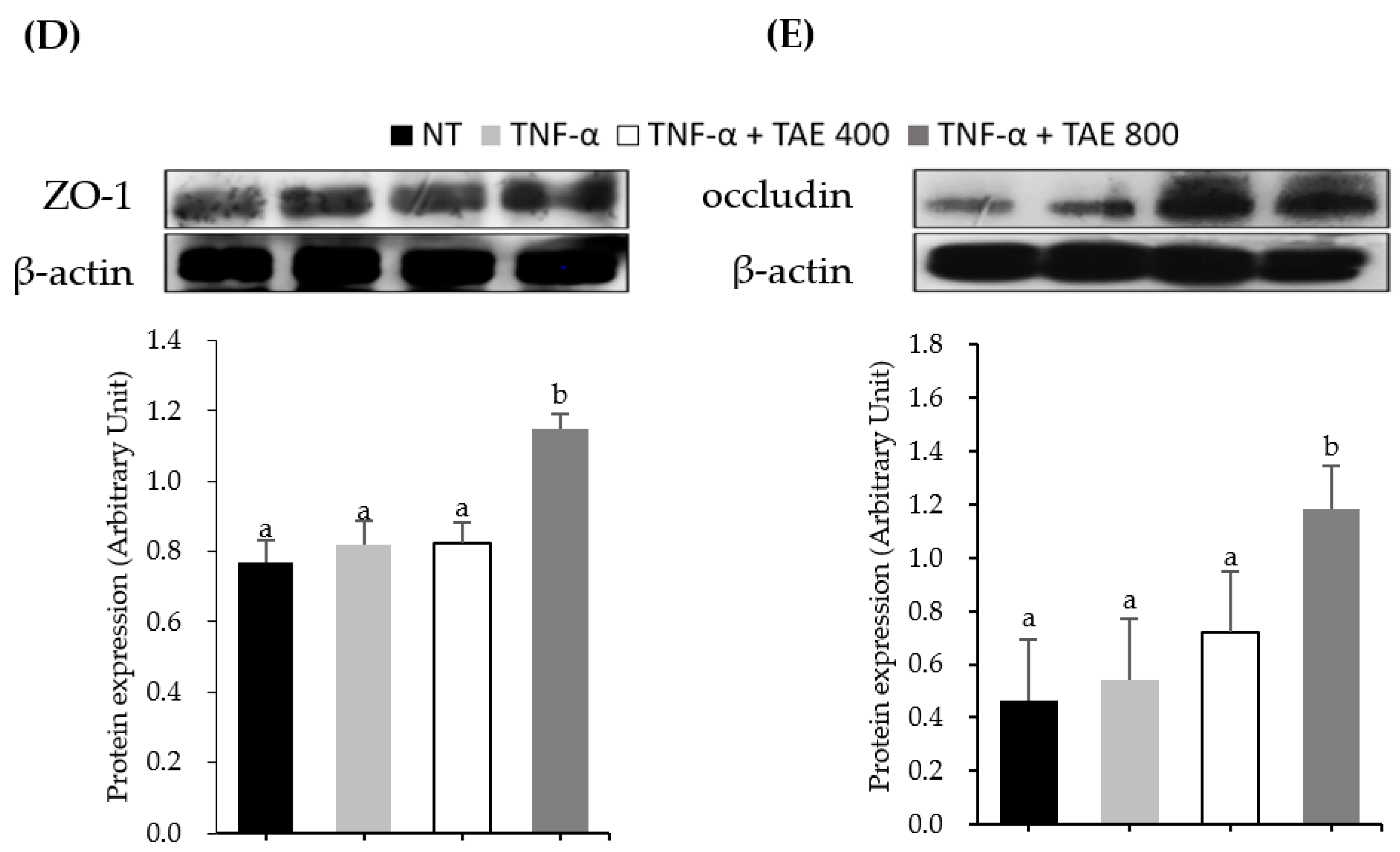 Preventive Effects of Thinned Apple Extracts on TNF-α-Induced ...