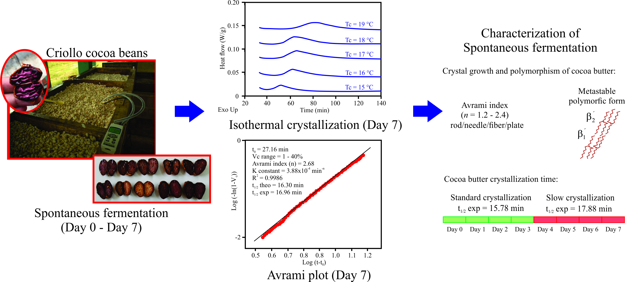 Foods | Free Full-Text | Kinetics Crystallization and Polymorphism of ...