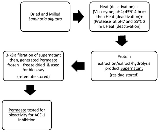 Angiotensin-I-Converting Enzyme Inhibitory Activity of Protein ...