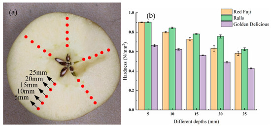 Research on Damage Properties of Apples Based on Static Compression ...