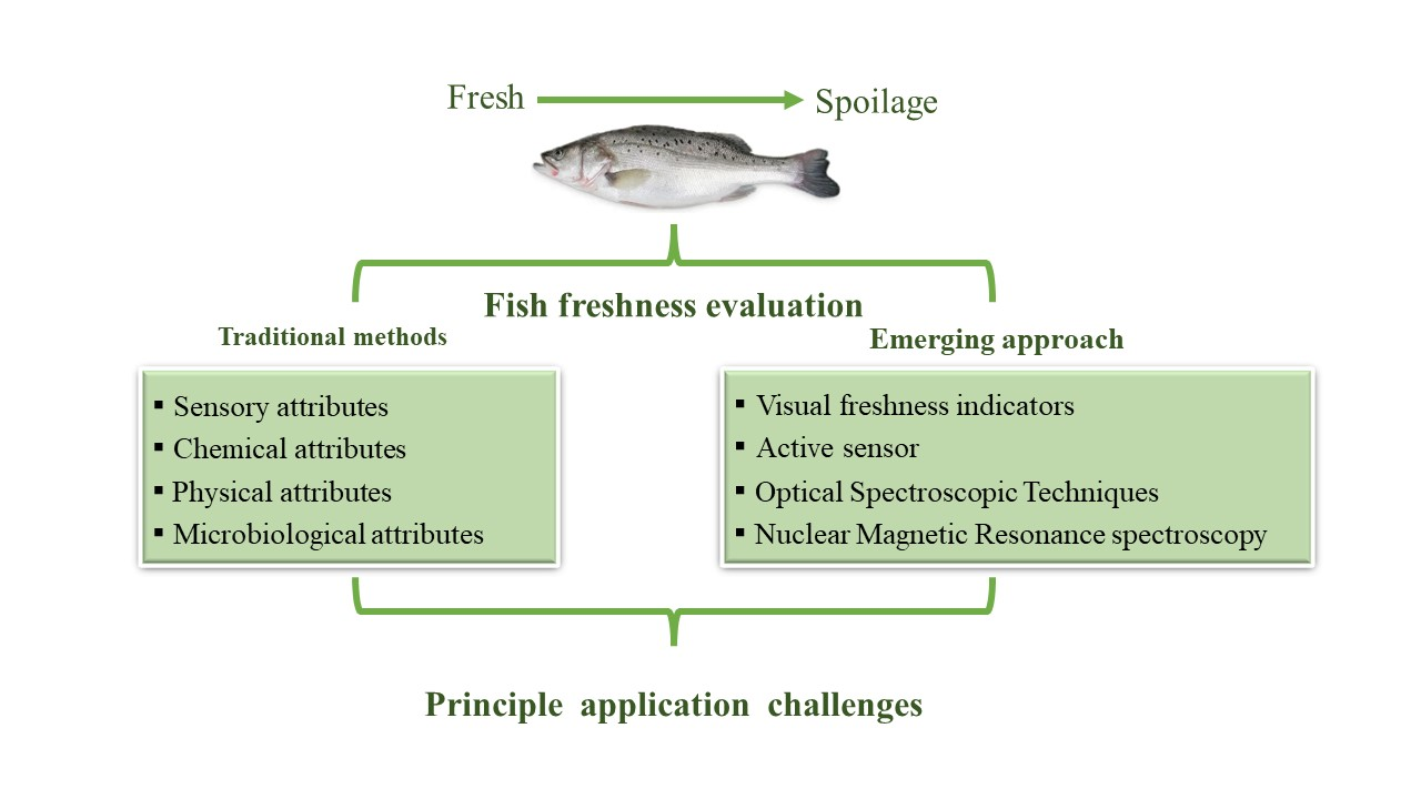 Foods | Free Full-Text | Emerging Approach for Fish Freshness ...
