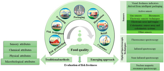 Emerging Approach for Fish Freshness Evaluation: Principle, Application ...