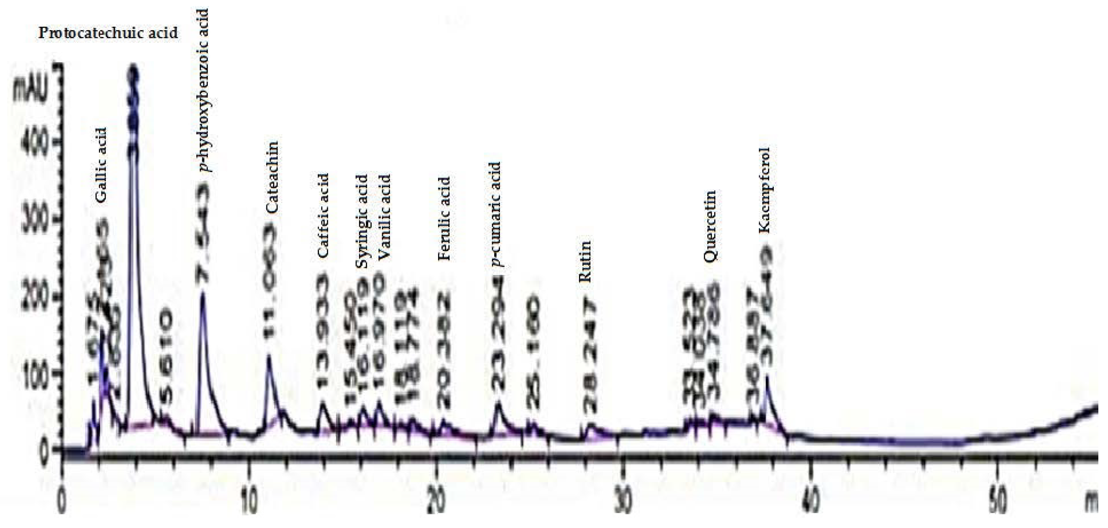 Biological Activities of Grape Seed By-Products and Their Potential Use ...