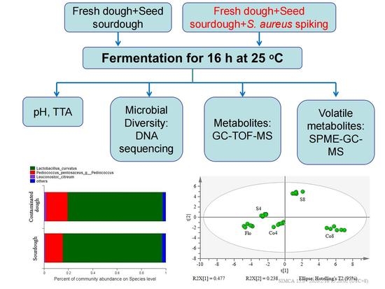 Foods | Free Full-Text | Effect of Staphylococcus aureus Contamination ...