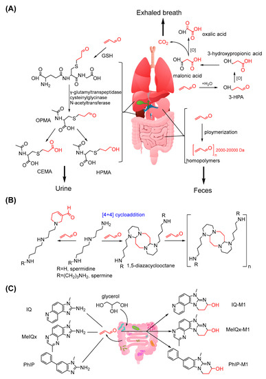 Origin and Fate of Acrolein in Foods