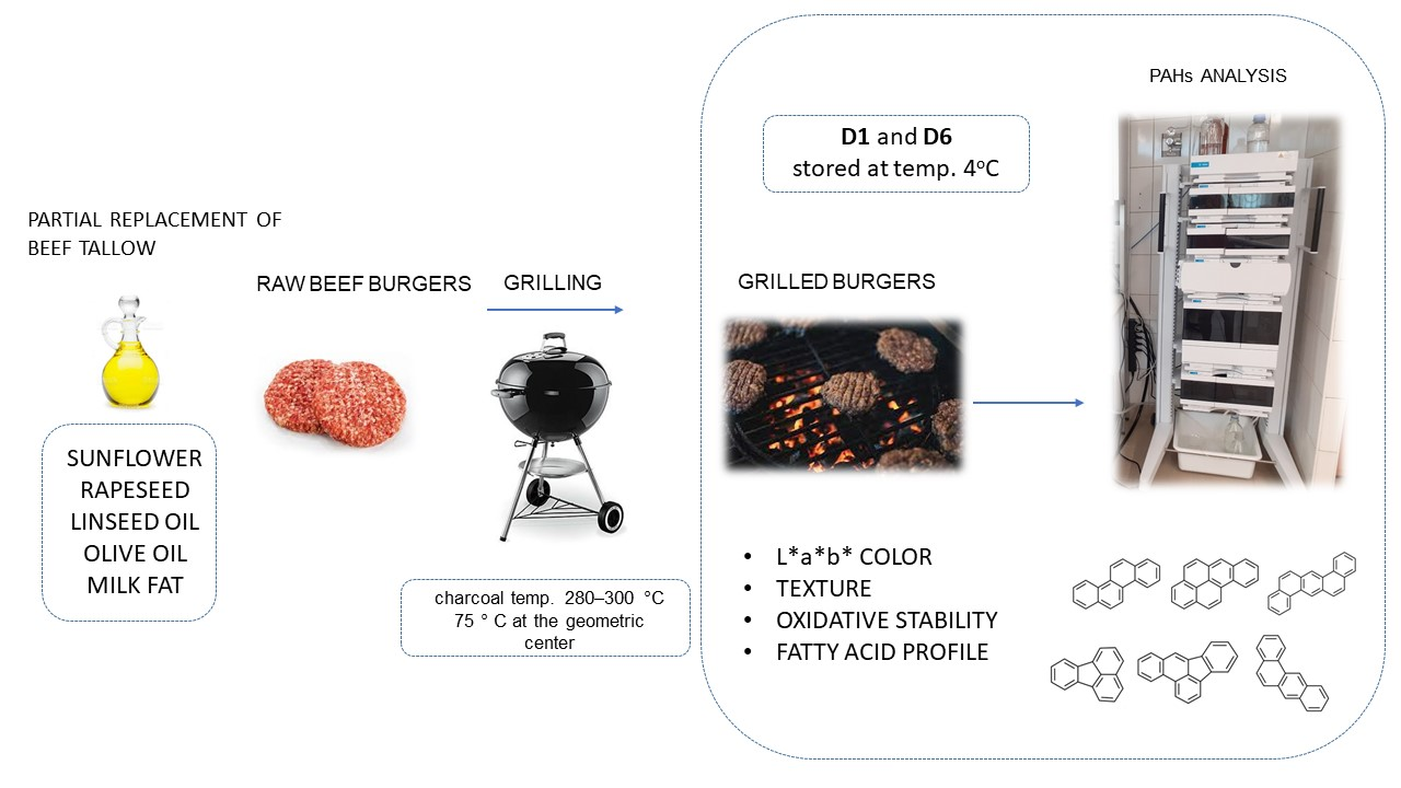 Foods | Free Full-Text | The Effect of Partial Substitution of Beef ...