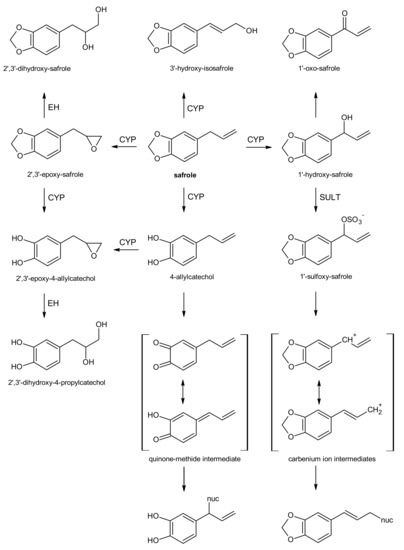 Myristicin and Elemicin: Potentially Toxic Alkenylbenzenes in Food