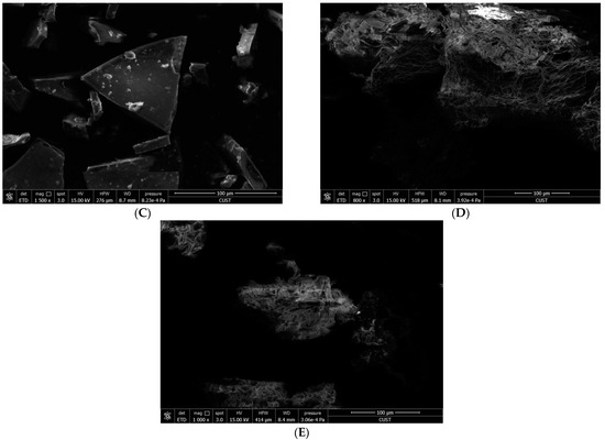 The Influence of Different Extraction Methods on the Structure ...