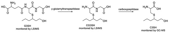 Unraveling the Mystery of 3-Sulfanylhexan-1-ol: The Evolution of ...