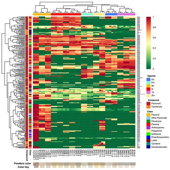 Foods | Free Full-Text | Differential Flavonoids and Carotenoids ...