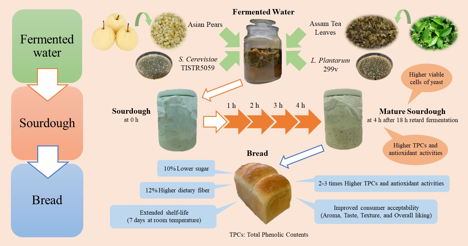 Foods | Free Full-Text | Improvement of Sourdough and Bread Qualities ...