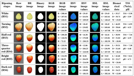 Prediction of Total Soluble Solids and pH of Strawberry Fruits Using ...