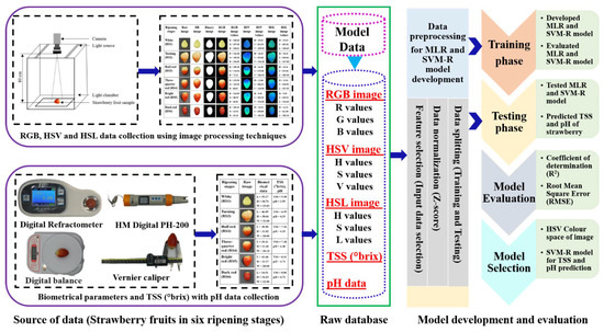 Foods | Free Full-Text | Prediction of Total Soluble Solids and pH of ...