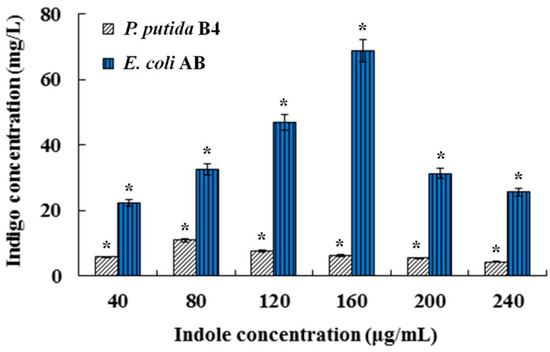 Production of Indigo by Recombinant Escherichia coli with Expression of ...