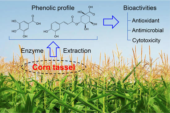 Foods | Free Full-Text | Phenolic Profiling and In-Vitro Bioactivities ...