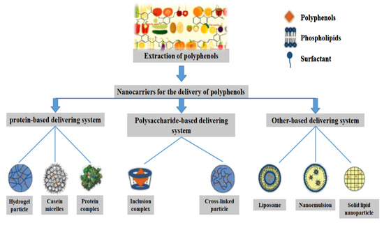 Polyphenols as Plant-Based Nutraceuticals: Health Effects ...