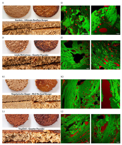 Meat Analogues: Relating Structure to Texture and Sensory Perception