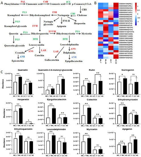 Untargeted Metabolomics and Transcriptomics Reveal the Mechanism of ...