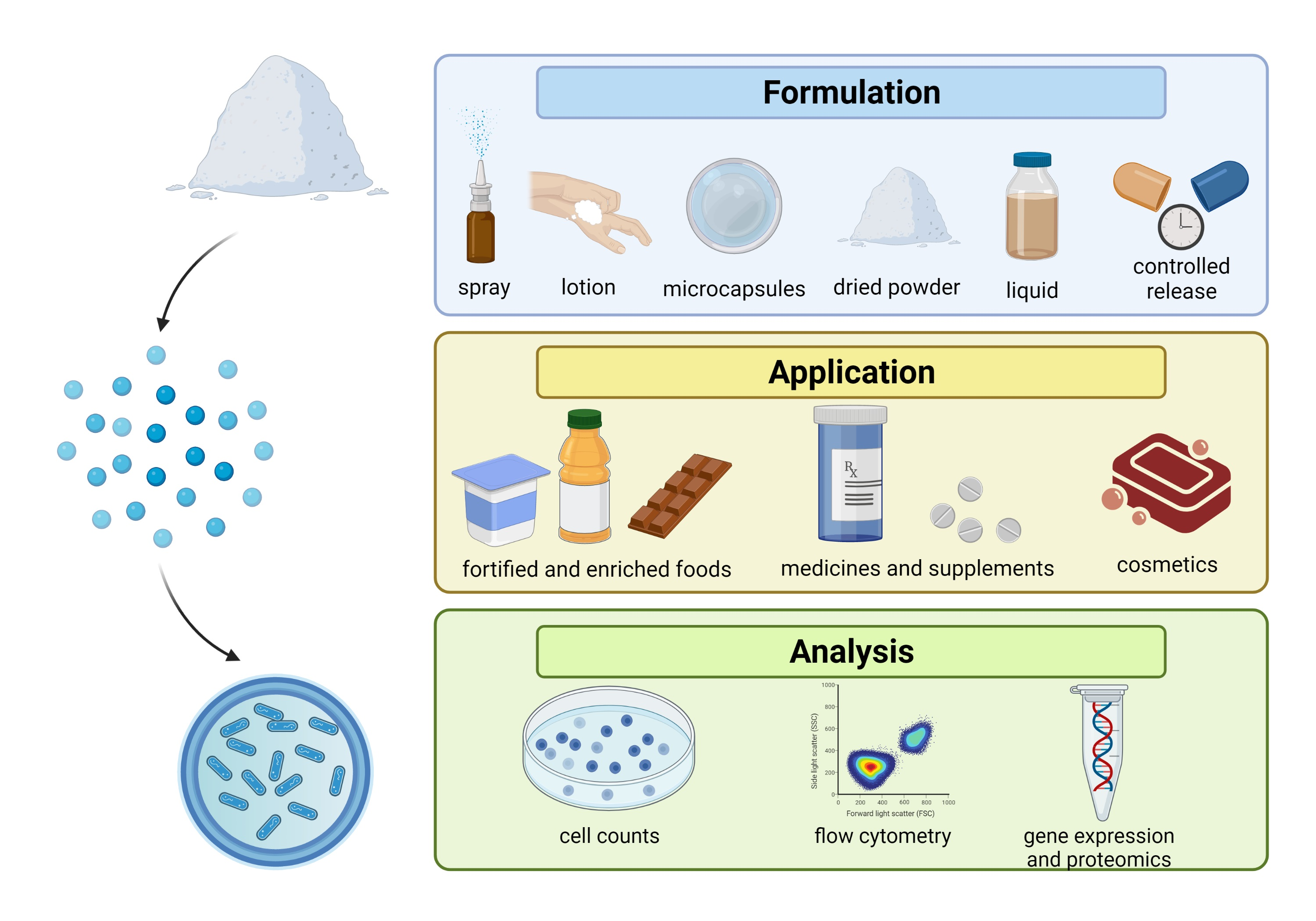 Foods | Free Full-Text | Current Trends in the Production of Probiotic ...