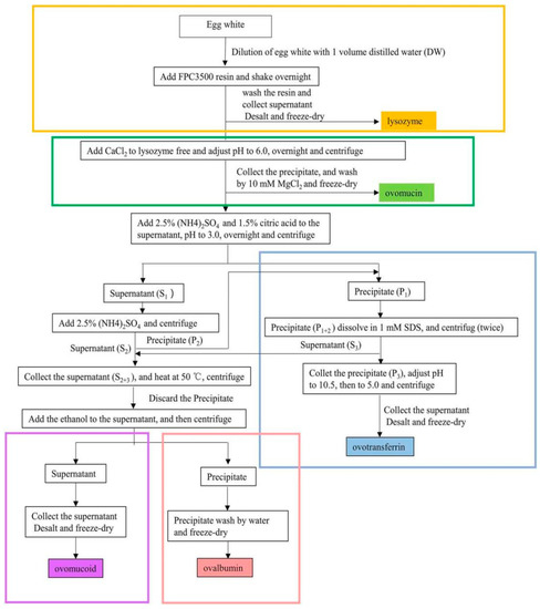 Functional Properties and Extraction Techniques of Chicken Egg White ...