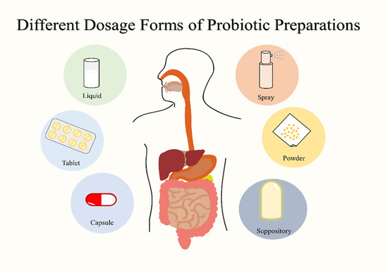 Foods | Free Full-Text | Characteristics of Probiotic Preparations and ...