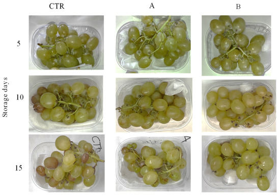 Effect of Gaseous Citral on Table Grapes Contaminated by Rhizopus ...