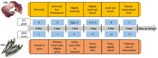 Advances in the Formation and Control Methods of Undesirable Flavors in ...